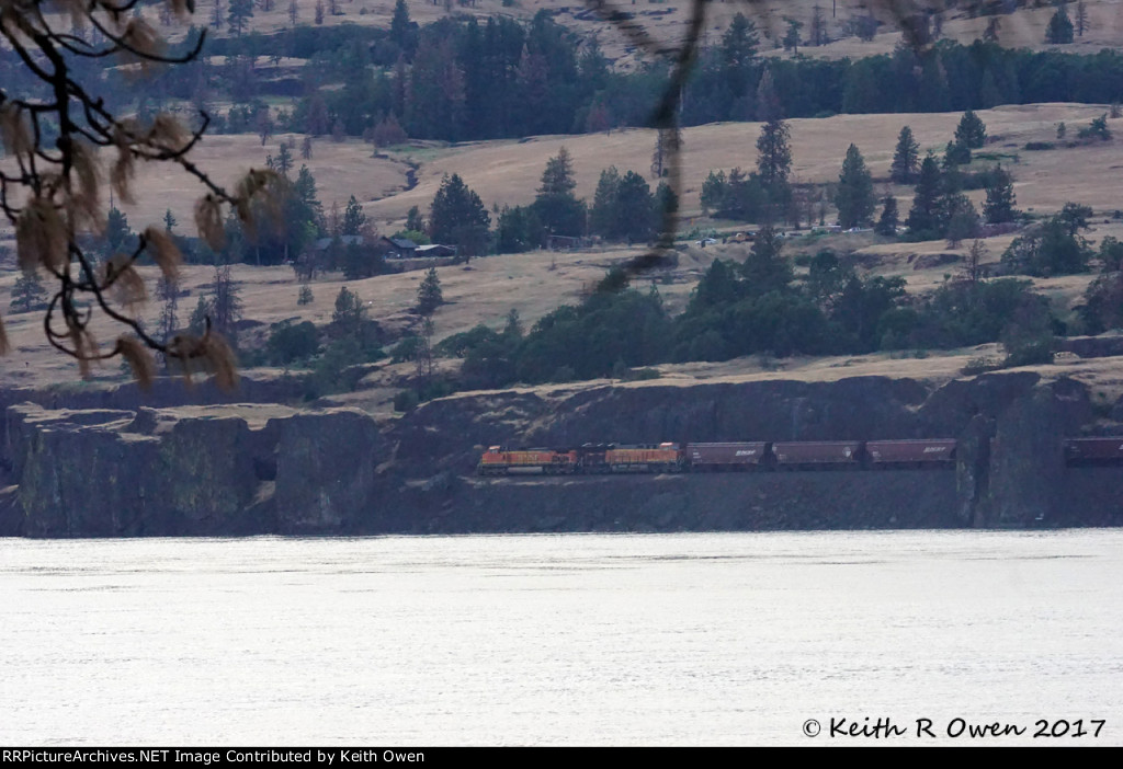 Westbound Grain Train